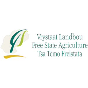 Software Development Company - Web & App | Runninghill